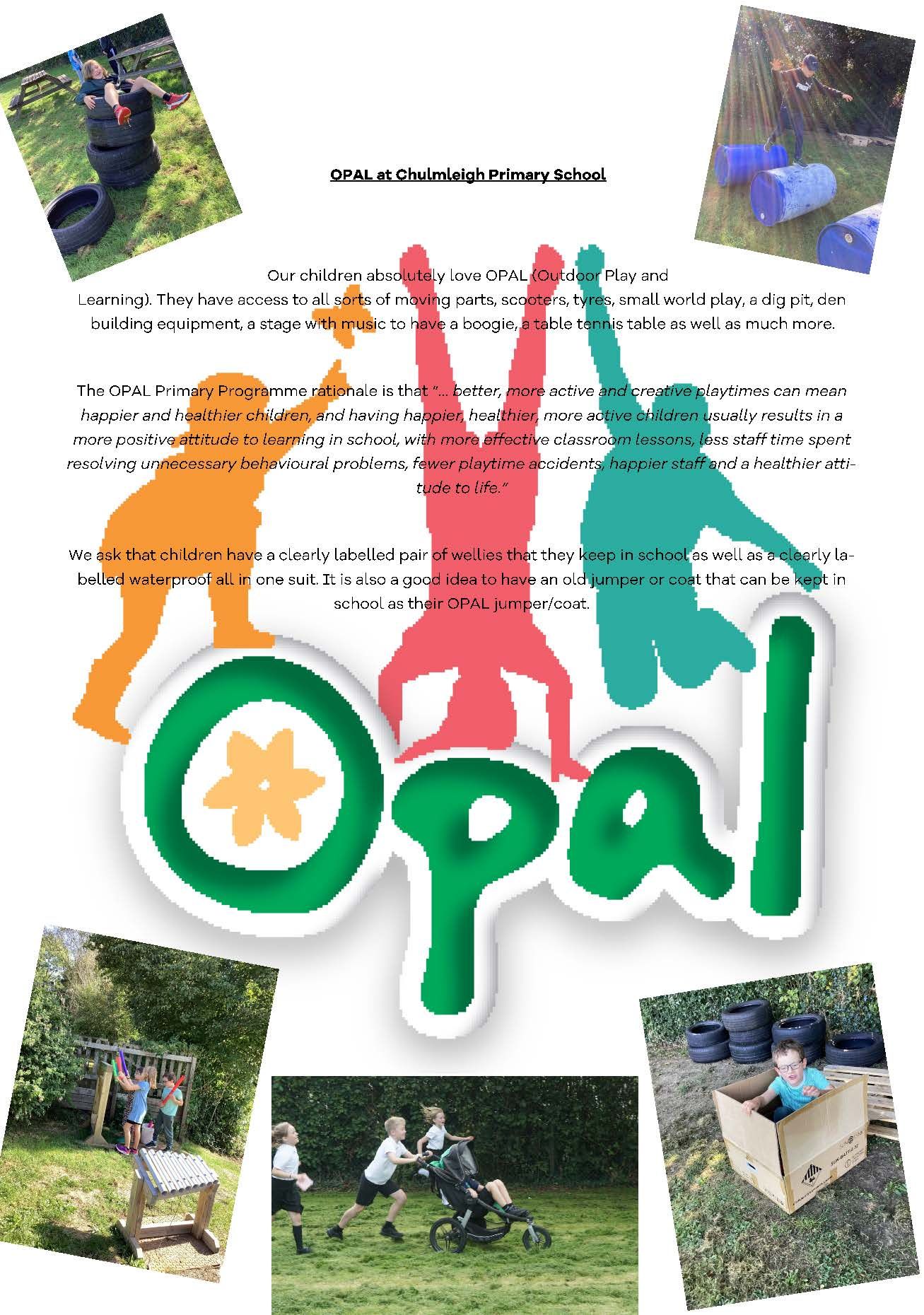 Chulmleigh Primary School - OPAL